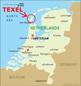 texel